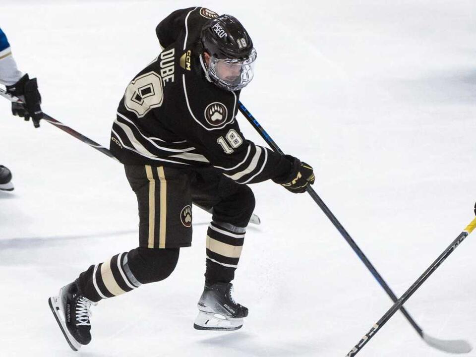 Capitals Prospect Dubé Says He Lost 12 Pounds, Faces Extensive Dental ...