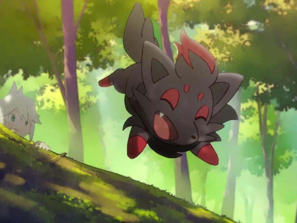 Zorua gets “precious” art in latest Pokemon TCG reveal