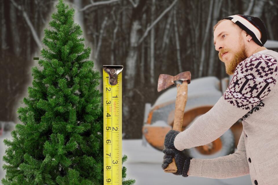 How Long Does It Take To Grow A Christmas Tree? - NewsBreak