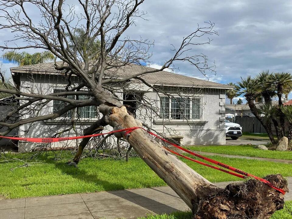 Flooding, trees falling and hail: Winter Storm causes damage across the ...