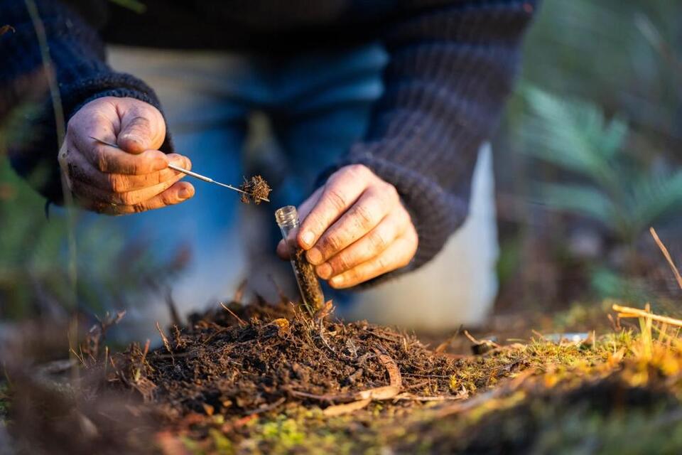 How to Prepare a Lawn Soil Sample in 5 Simple Steps for the Best ...