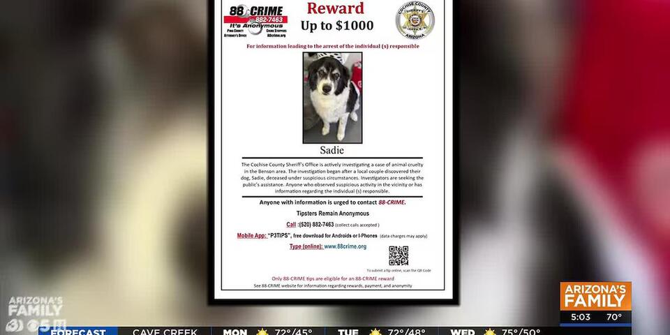 Missing family dog found dead miles from their home in Benson - NewsBreak