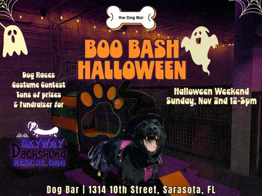 Halloween Boo Bash Dog Costume Contest - NewsBreak