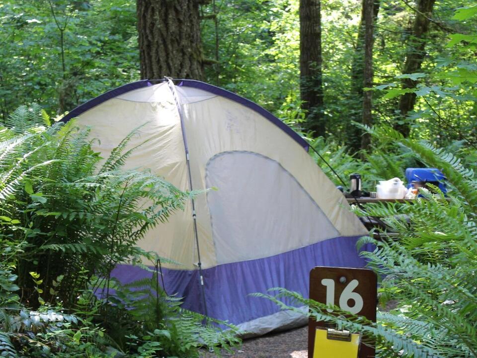 Oregon Parks: Same-day online reservations statewide begin Jan. 1