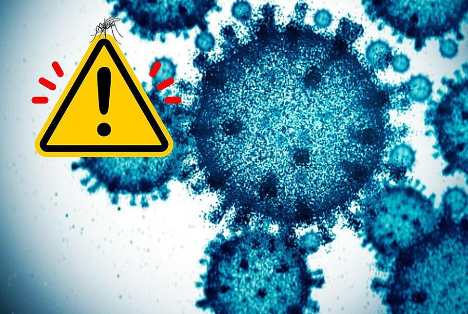 Rare And Extremely Serious Viral Disease Spreading In North Carolina ...