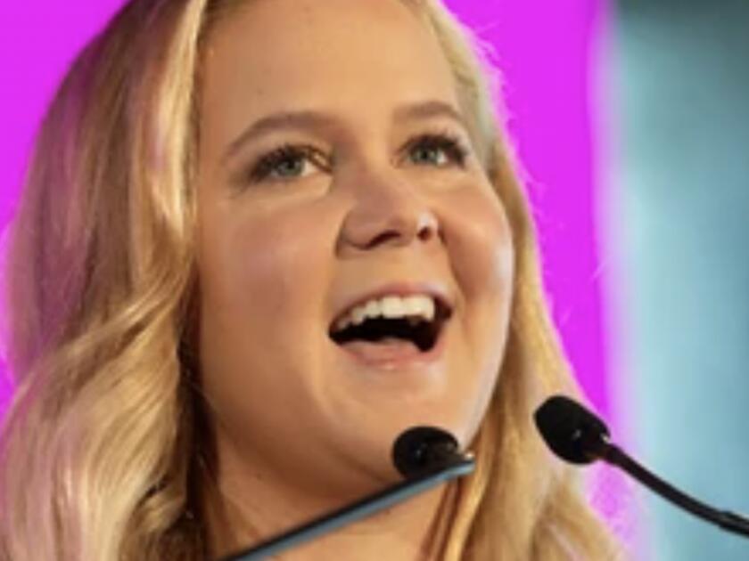 Comedian Amy Schumer, 42, Stopped Taking Ozempic After Side Effects ...