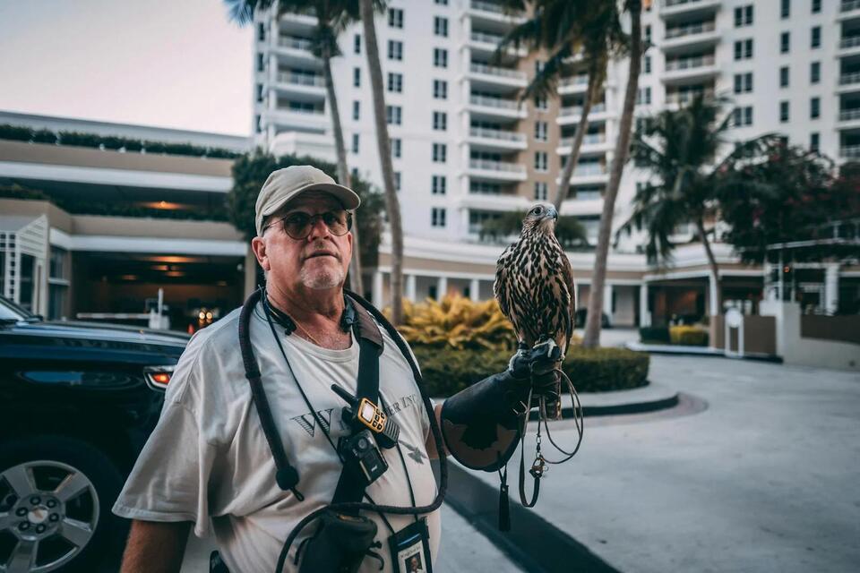 Urban Wildlife How Animals Are Adapting to City Life - NewsBreak