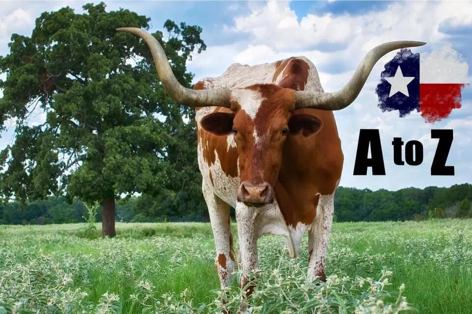 From A to Z, Here’s Why Texas is the Best State in the U.S. - NewsBreak