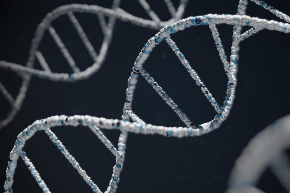 Hidden inheritance: the intersection of environment and health - NewsBreak