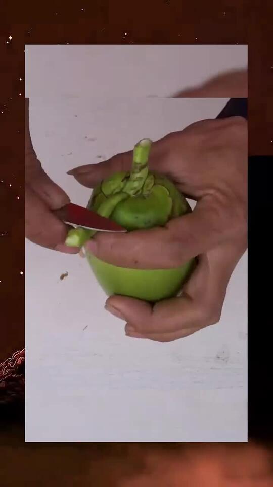 How to Grow Coconut Tree from Coconut Fruit New Technology Not Everyone ...