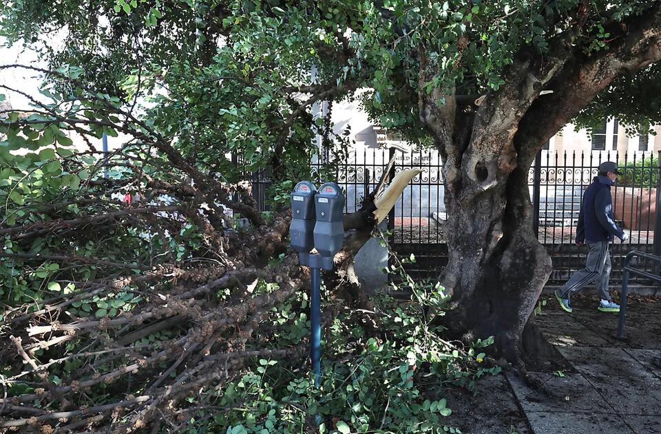 Tornado warning issued for Santa Cruz County - NewsBreak