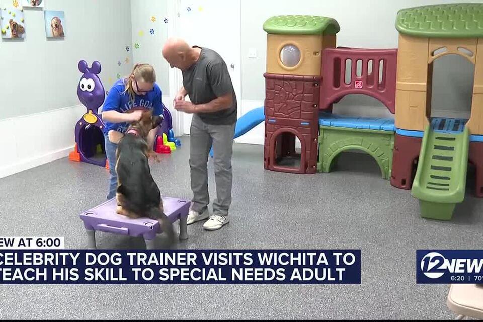 Celebrity dog trainer visits Wichita area to teach skills - NewsBreak