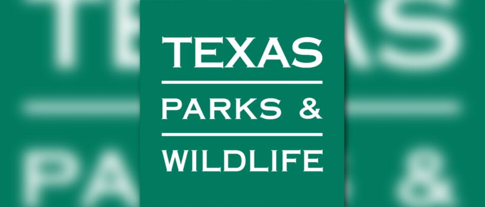 Texas wildlife officials urge vigilance for New World screwworm - NewsBreak