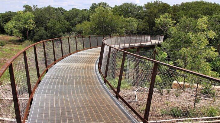 Animals and Wildlife in Texas - NewsBreak