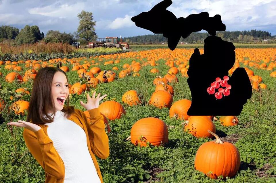 The Perfect Places to Pick Your Own Pumpkins in Mid Michigan - NewsBreak