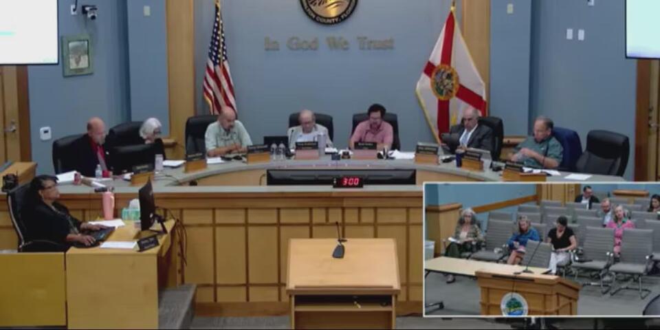 Walton County Commission votes to write up ban on AI data centers ...