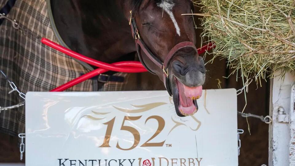 Belmont Stakes 2026 post positions, odds: Renegade favored, Golden ...