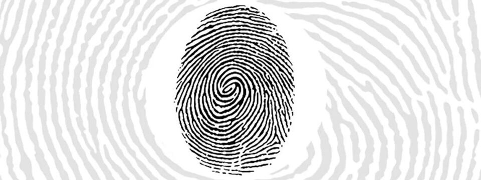 Utah youtuber Nick Shirley wouldn’t know real satire if it shot him in ...