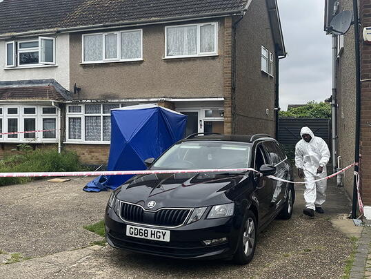 Family warn XL Bully owners after ‘kind-hearted’ mother killed by pets