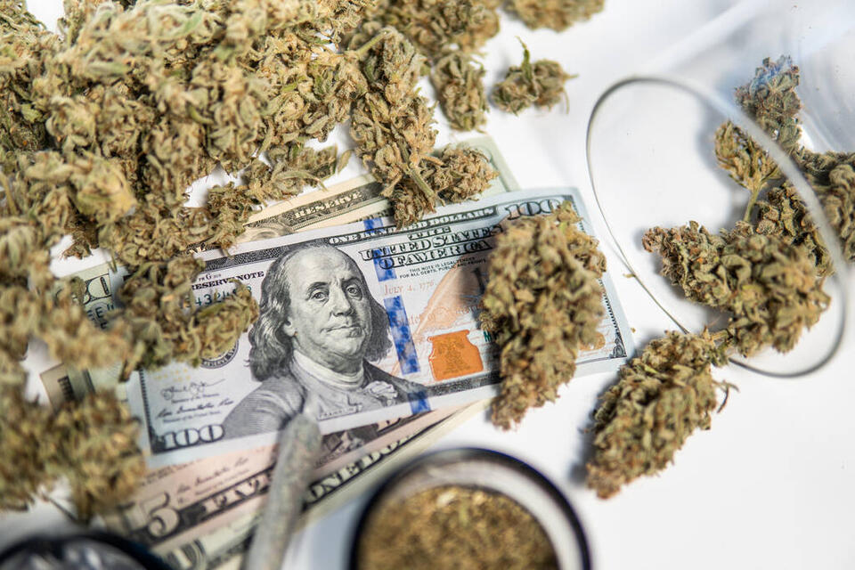 New Mexico Cannabis Sales Top $48 Million in December, Bringing 2025 ...