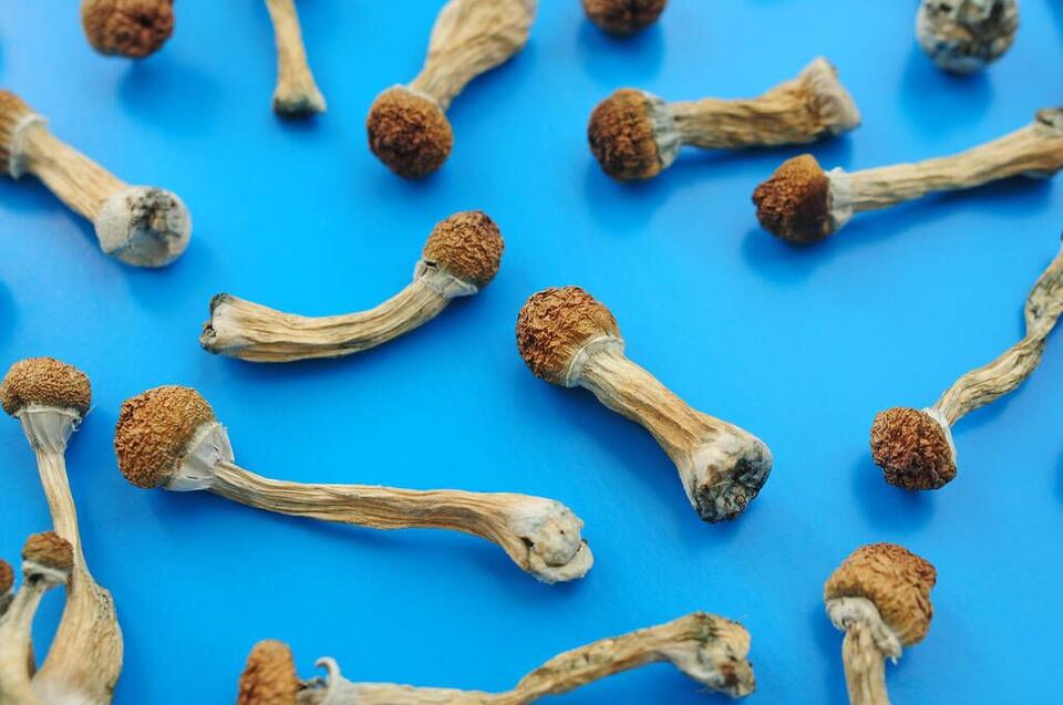 Washington Senate Committee Schedules Public Hearing on Bill to ...