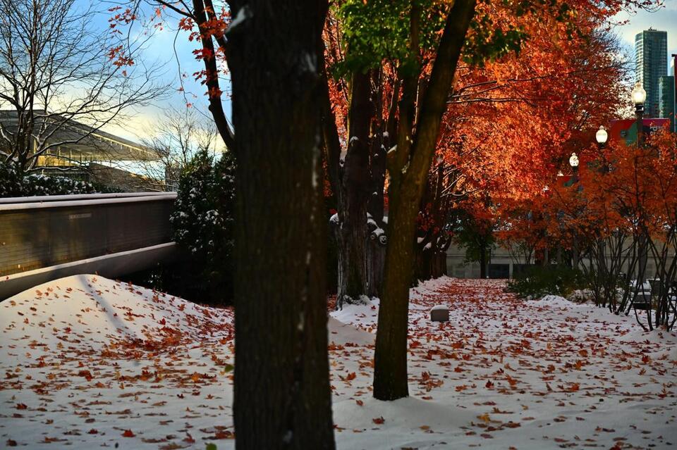 PHOTOS: Chicago Gets An Early Taste Of Winter With Significant November ...