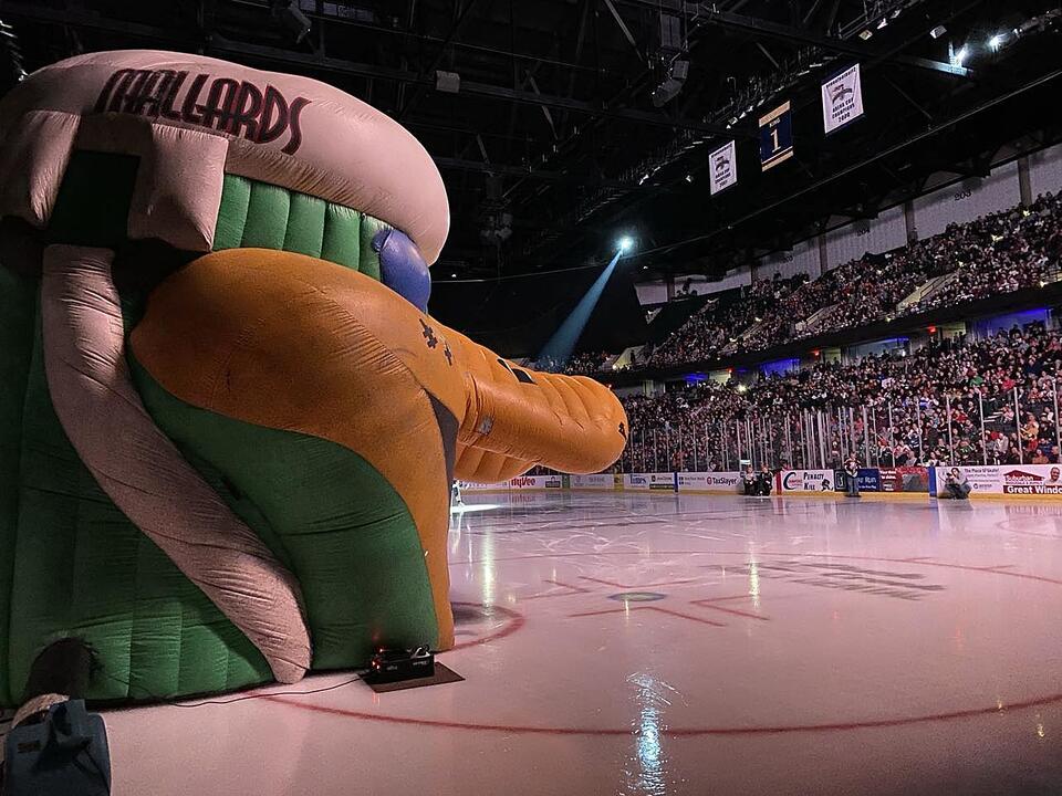 Quad City Mallards To Return In UHL All Star Legends Game - NewsBreak