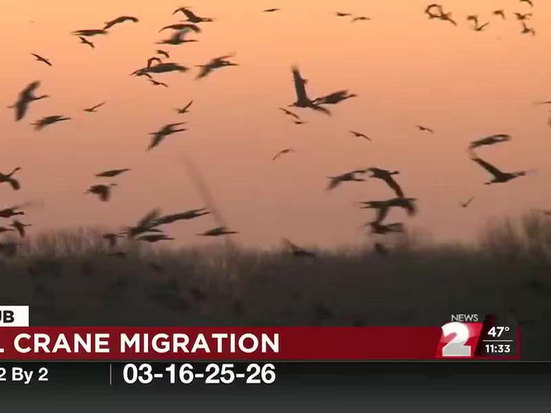 North Platte based Tout Bird Club spends March meeting focusing on ...