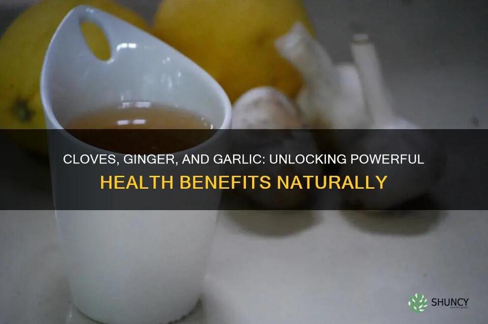 Cloves, Ginger, And Garlic: Unlocking Powerful Health Benefits ...