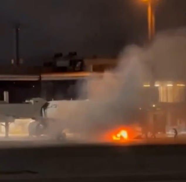 Panicked passengers told to 'leave everything' and flee plane as it is ...