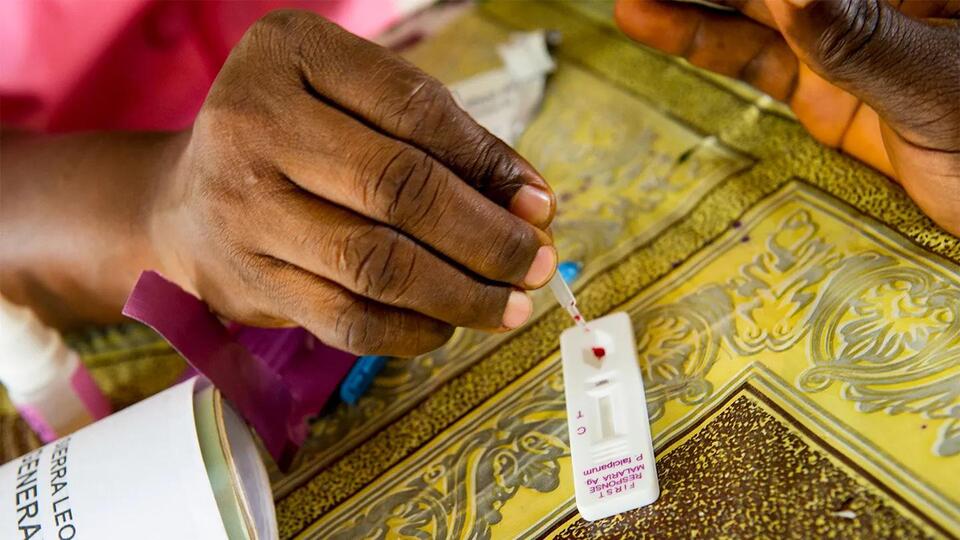 Malaria parasites can evade rapid tests, threatening eradication goals ...