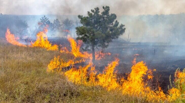 Be Prepared for Wildfire Season: Smart Fire Preparedness Tips - NewsBreak