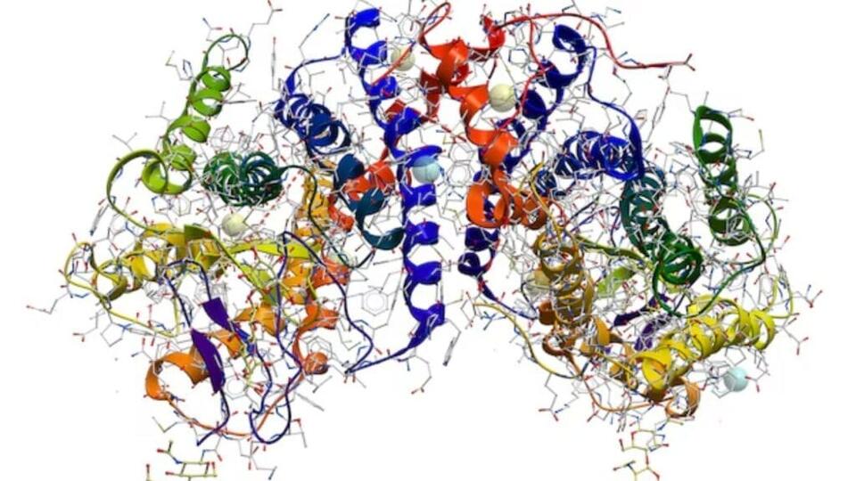 New protein method generates 10M data points in 3 days, boosting AI ...