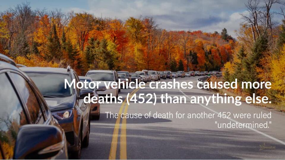 Hiker suffers ‘significant’ injuries after bear encounter in ...