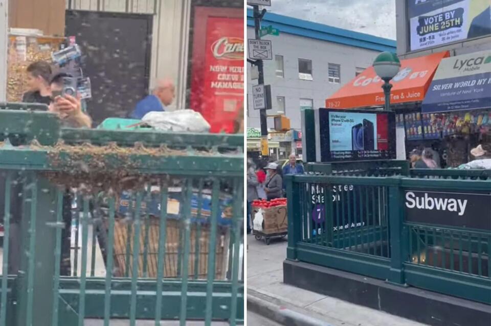Wild video shows massive swarm of bees colonizing NYC subway entrance ...
