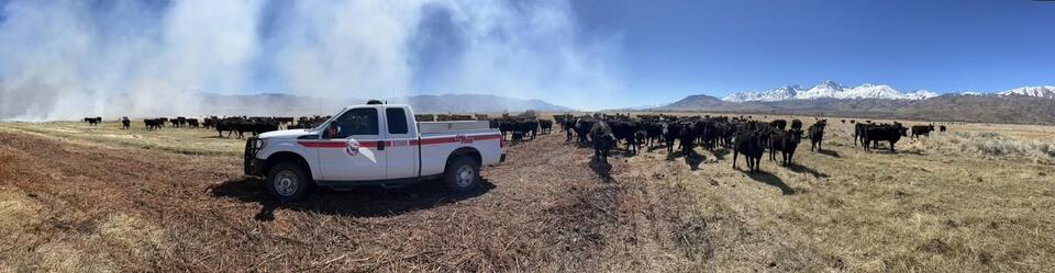 Vegetation fire contained near Big Pine - NewsBreak