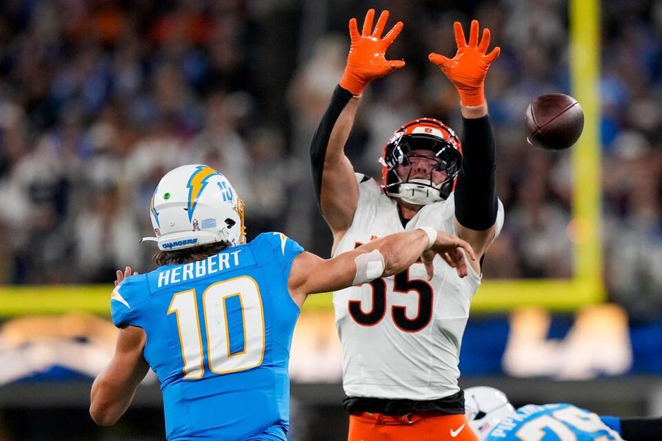 Bengals postseason hero Logan Wilson retires at age 29 - NewsBreak