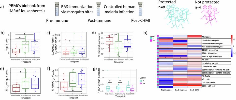 IFN-Î³ and IL-4 correlate with protection induced by an attenuated ...