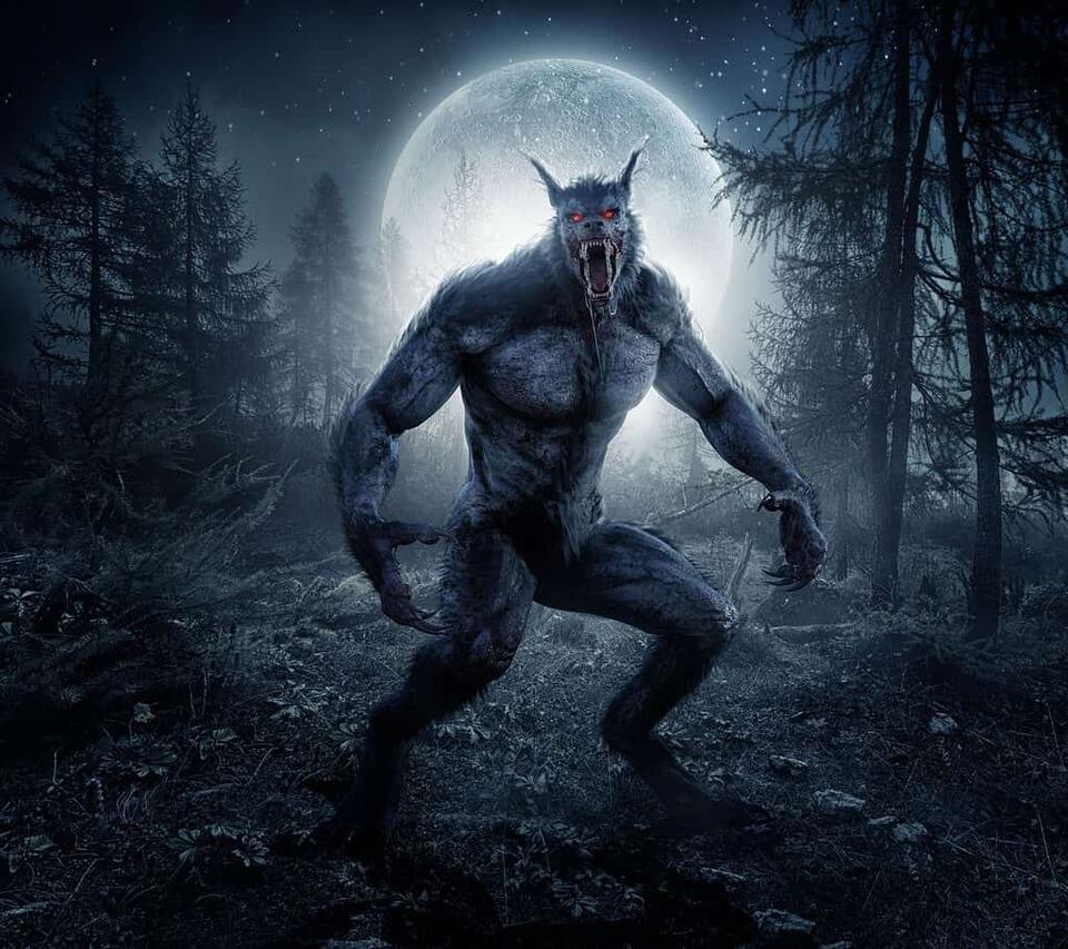 11 Michigan Cryptids: Appearance, Behavior, and Location - NewsBreak