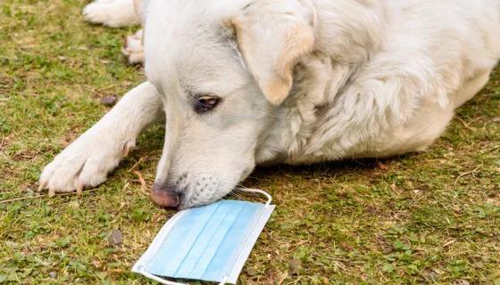 Trying to Avoid Emergency Room Visits - NewsBreak