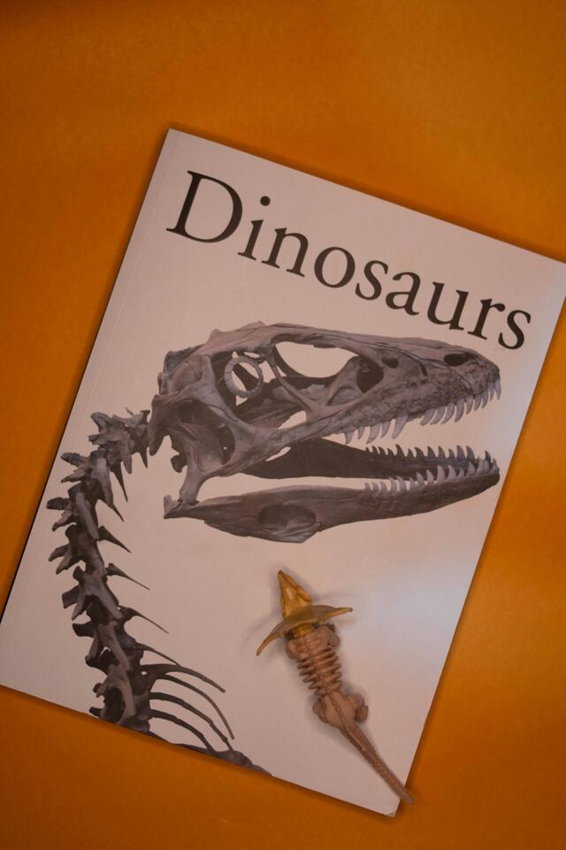 Best Dinosaur Books for Adults Who Still Love Prehistoric Creatures ...