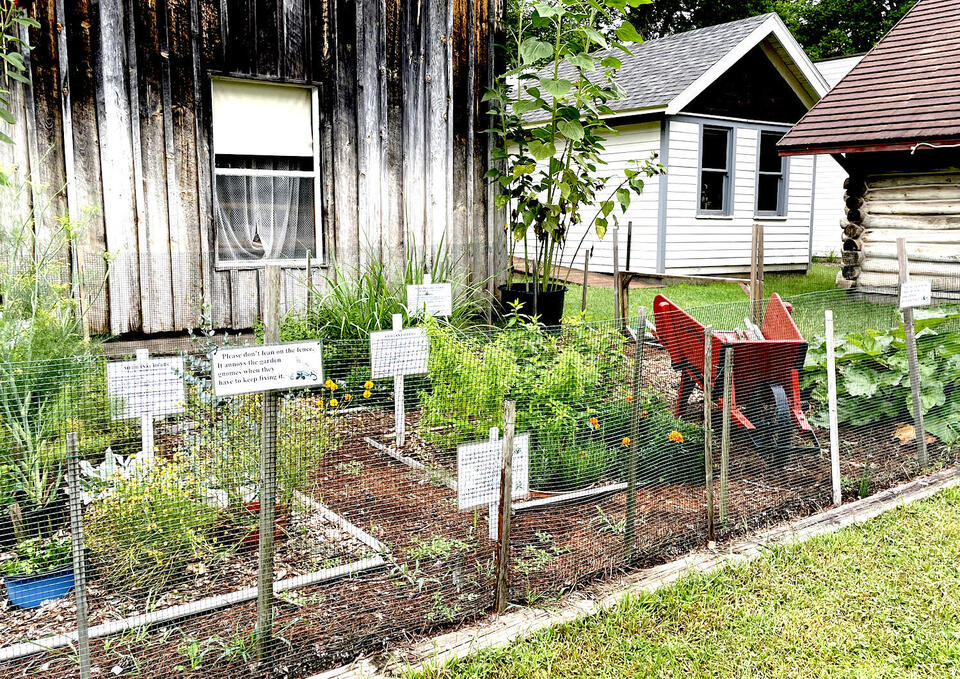 Genealogical Society digs into the history of gardening, preserving ...