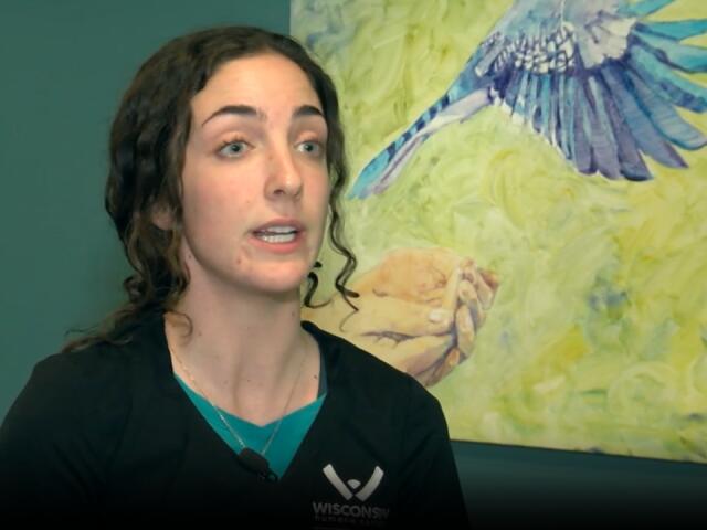 Wildlife rehabilitator explains suspected bird flu cases in Wisconsin ...