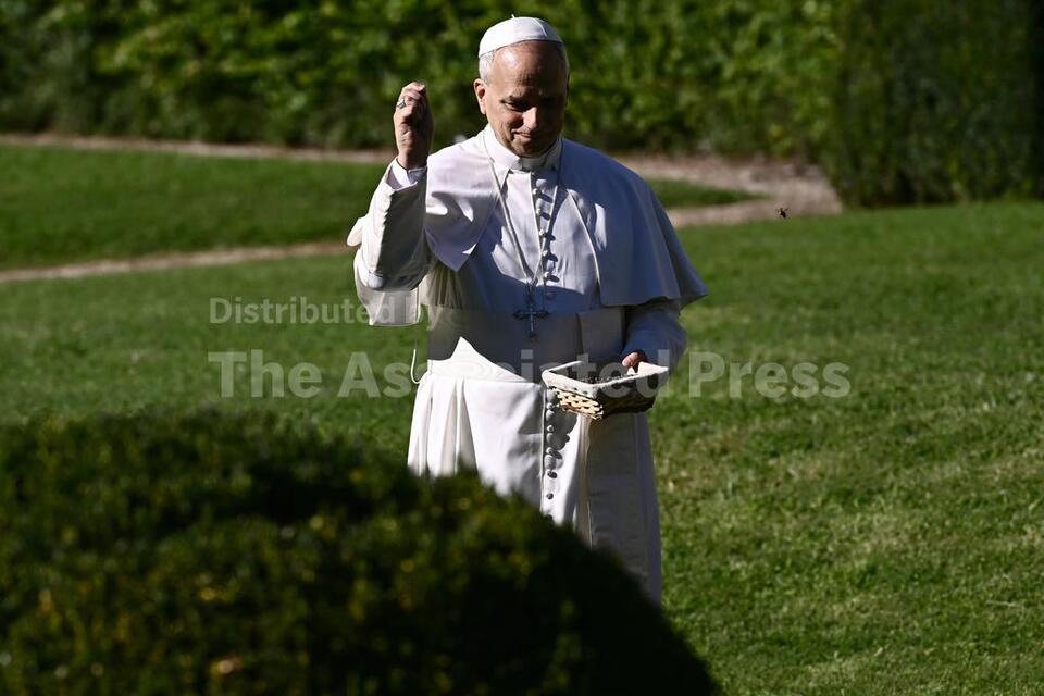 Pope feeds fish as he opens Vatican's ambitious model of sustainable ...