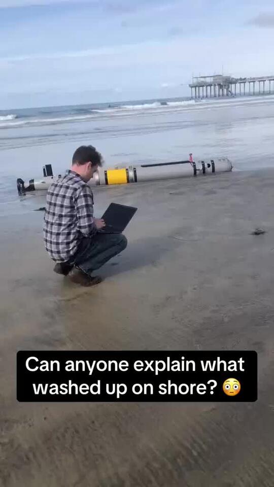 Can anyone explain what washed up on shore! - NewsBreak