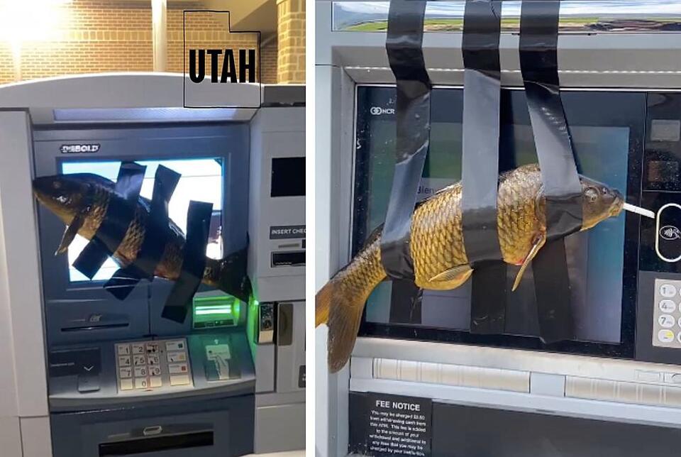 Utah Teen Facing Charges For Allegedly Taping Fish To ATMs - NewsBreak