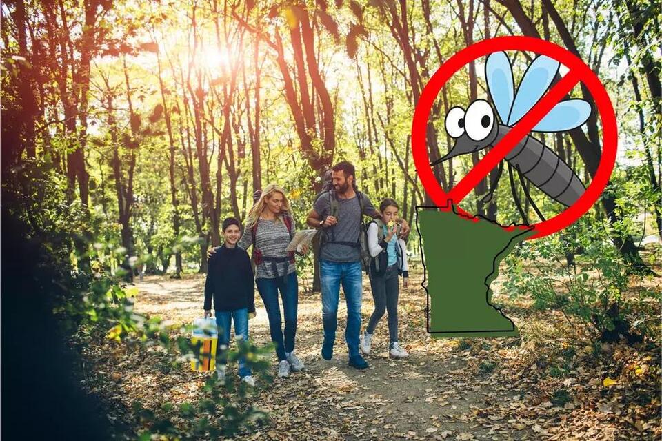 Minnesota State Parks that are Proven to Have Less Bugs - NewsBreak