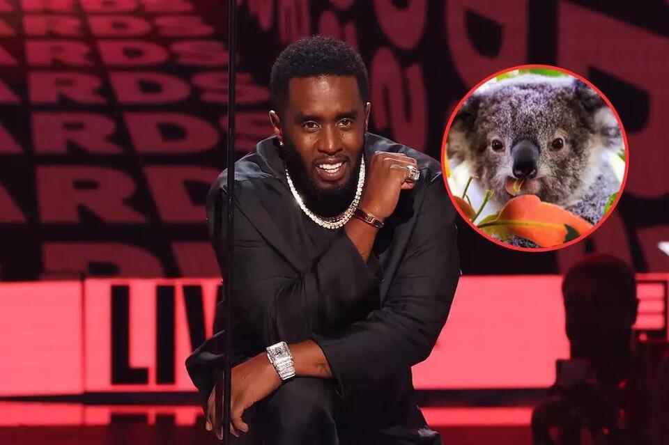 Bad Boy for Life But Not a Koala – Diddy Roasts Courtroom Sketches of ...