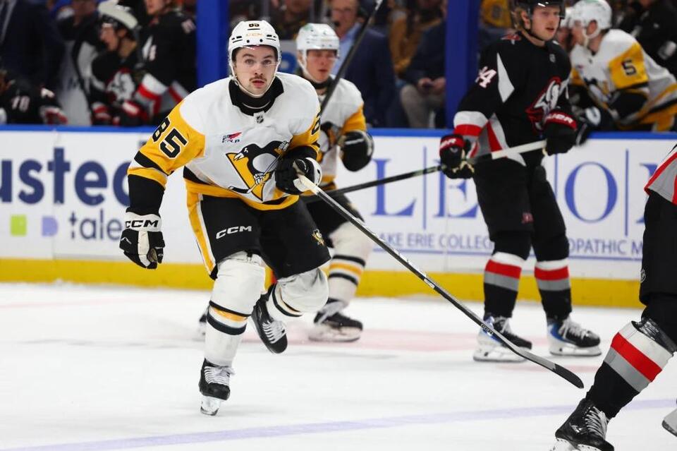 Avery Hayes scores twice in his NHL debut, Penguins beat Sabres 5-2 ...
