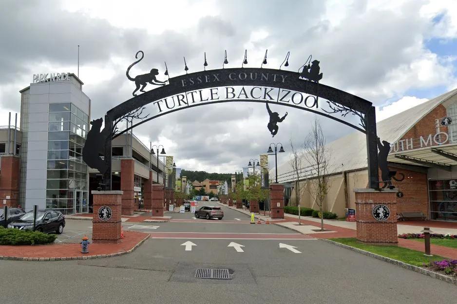 Lightning strikes hospital at NJ's Turtle Back Zoo, starts fire that ...